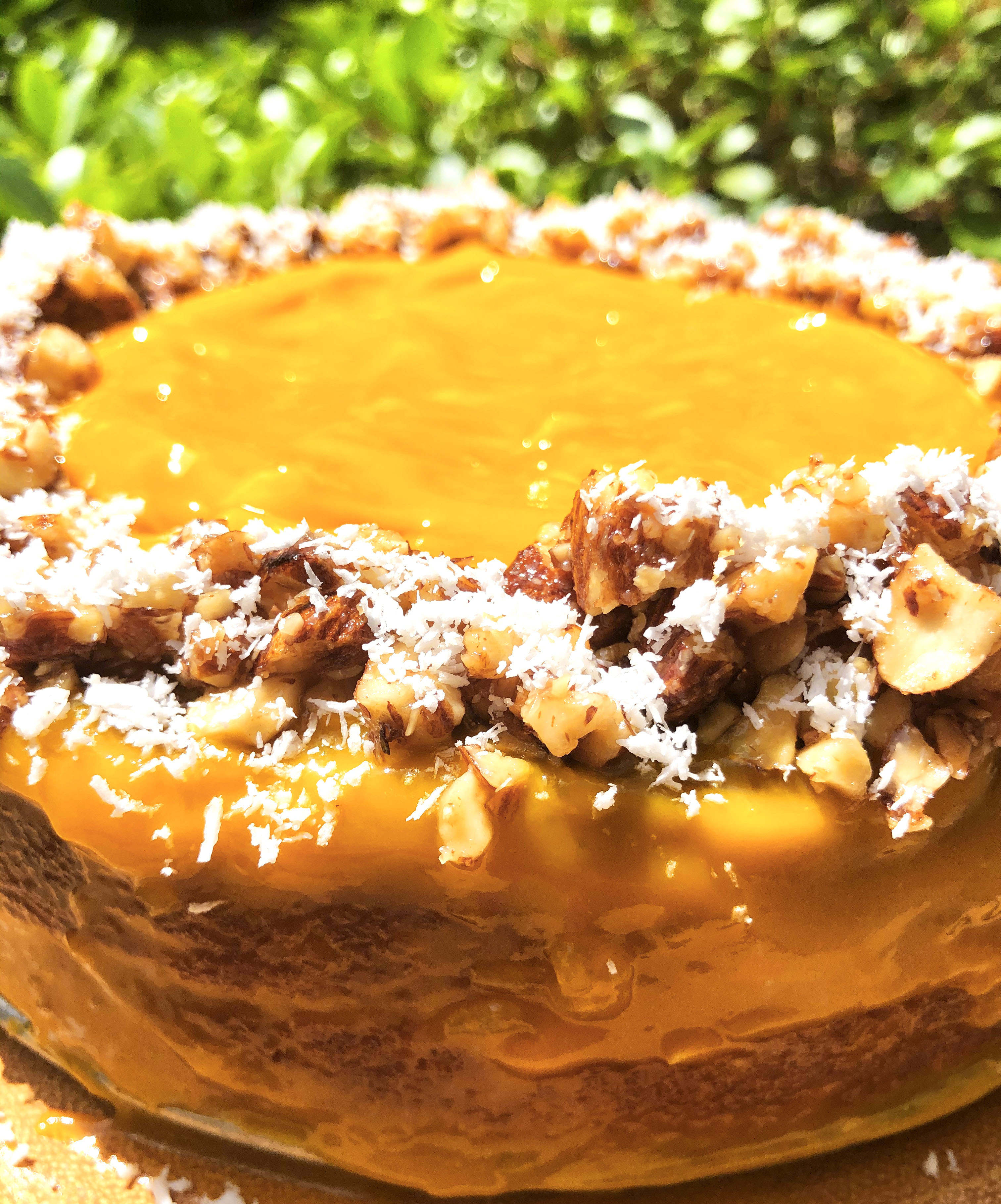 Mango Pudding Cake!! – Curvy Ninja